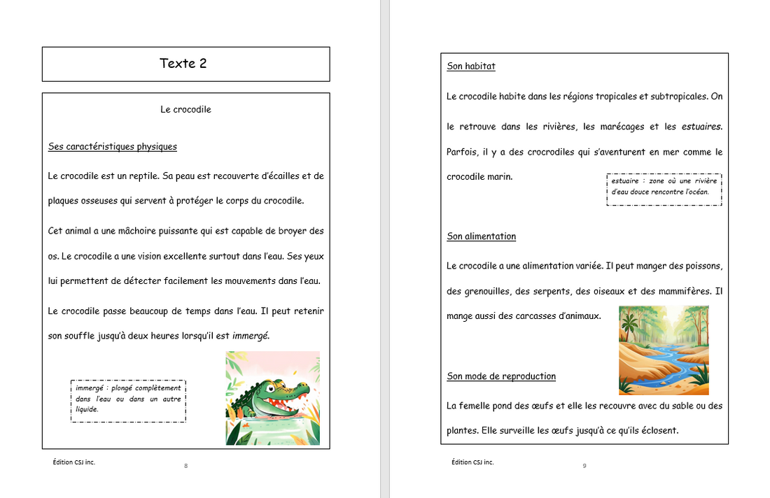 4e année Lecture compréhension de textes - CAHIER A (Numérique ...