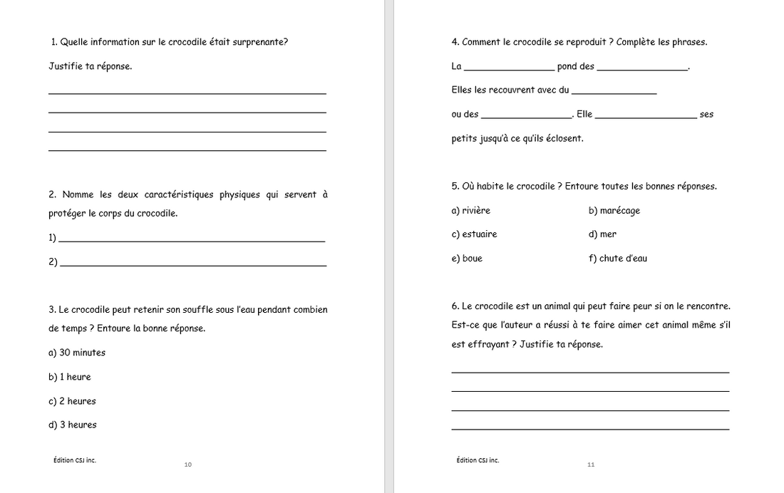 4e année Lecture compréhension de textes - CAHIER A (Numérique ...