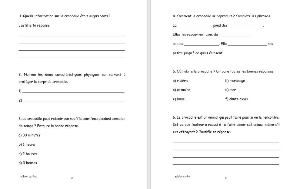 4e année Lecture compréhension de textes - CAHIER A (Numérique ...